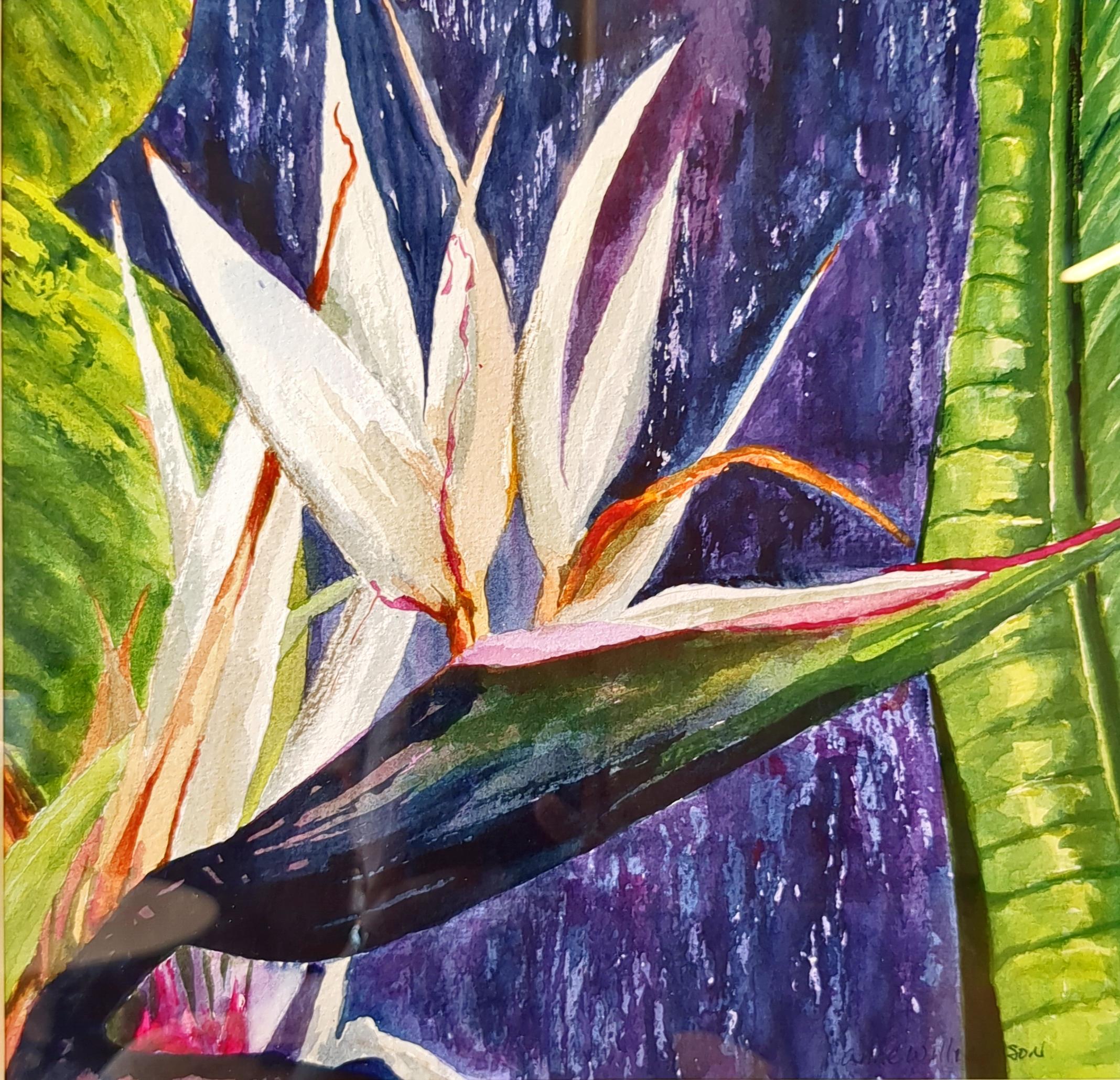 Waterloo Innovation Park