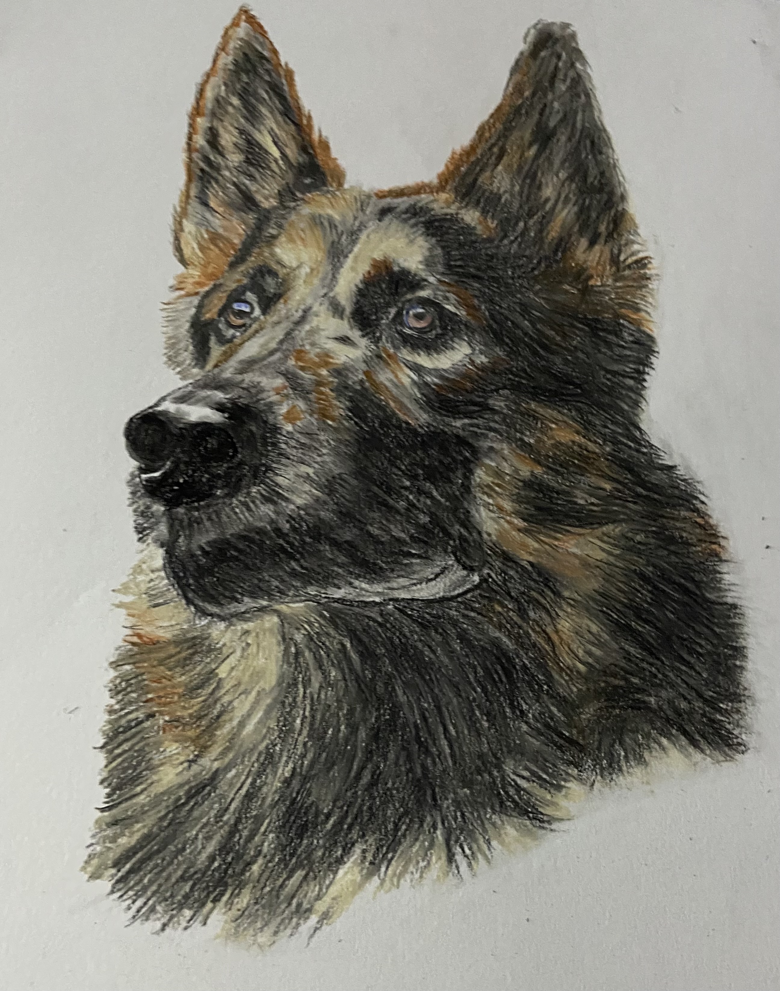 Waterloo Innovation Park