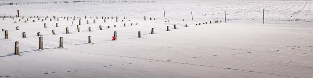 Waterloo Innovation Park